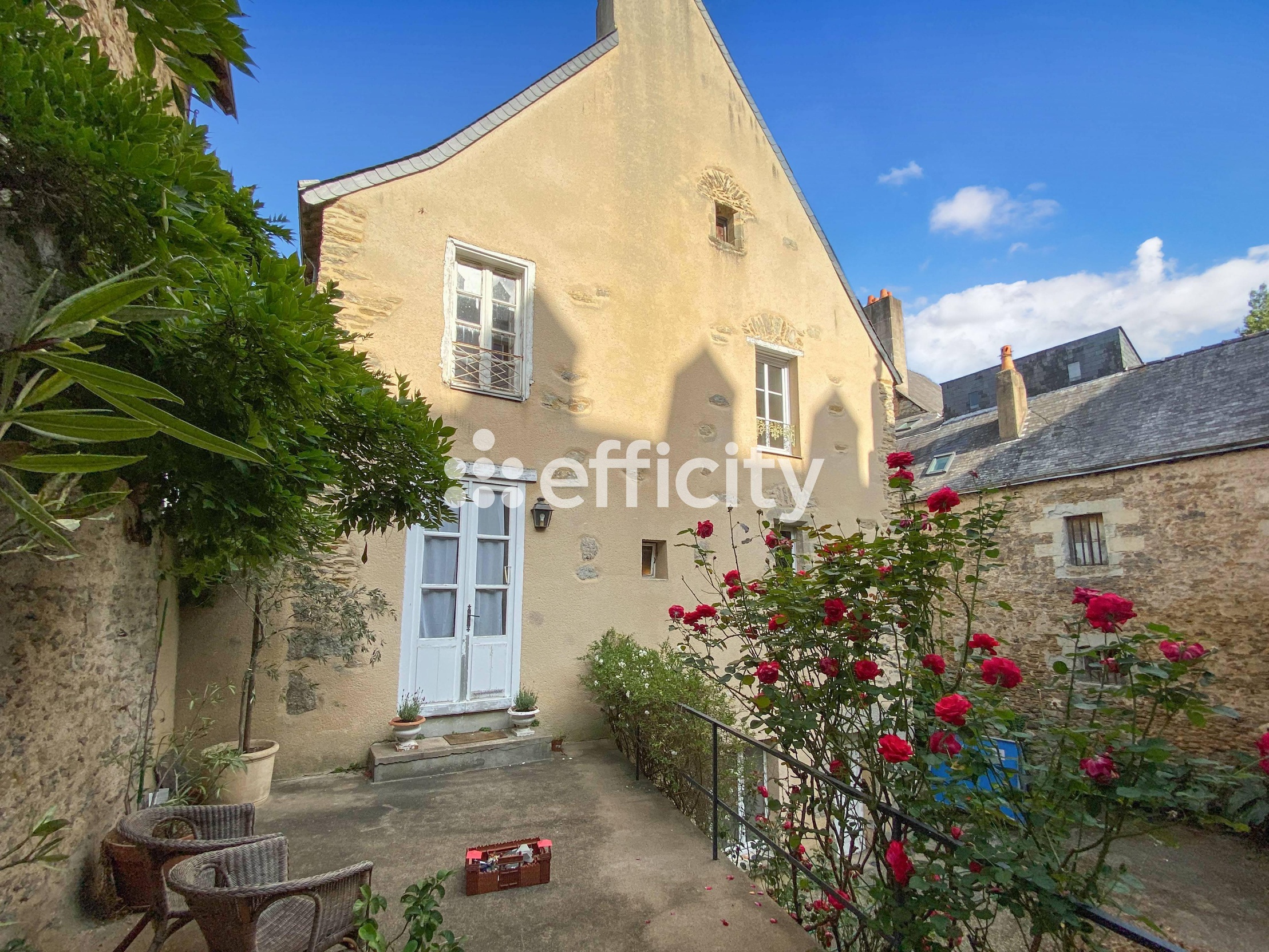 Charlotte Gruau | Consultante immobilier à Laval (Mayenne) | efficity