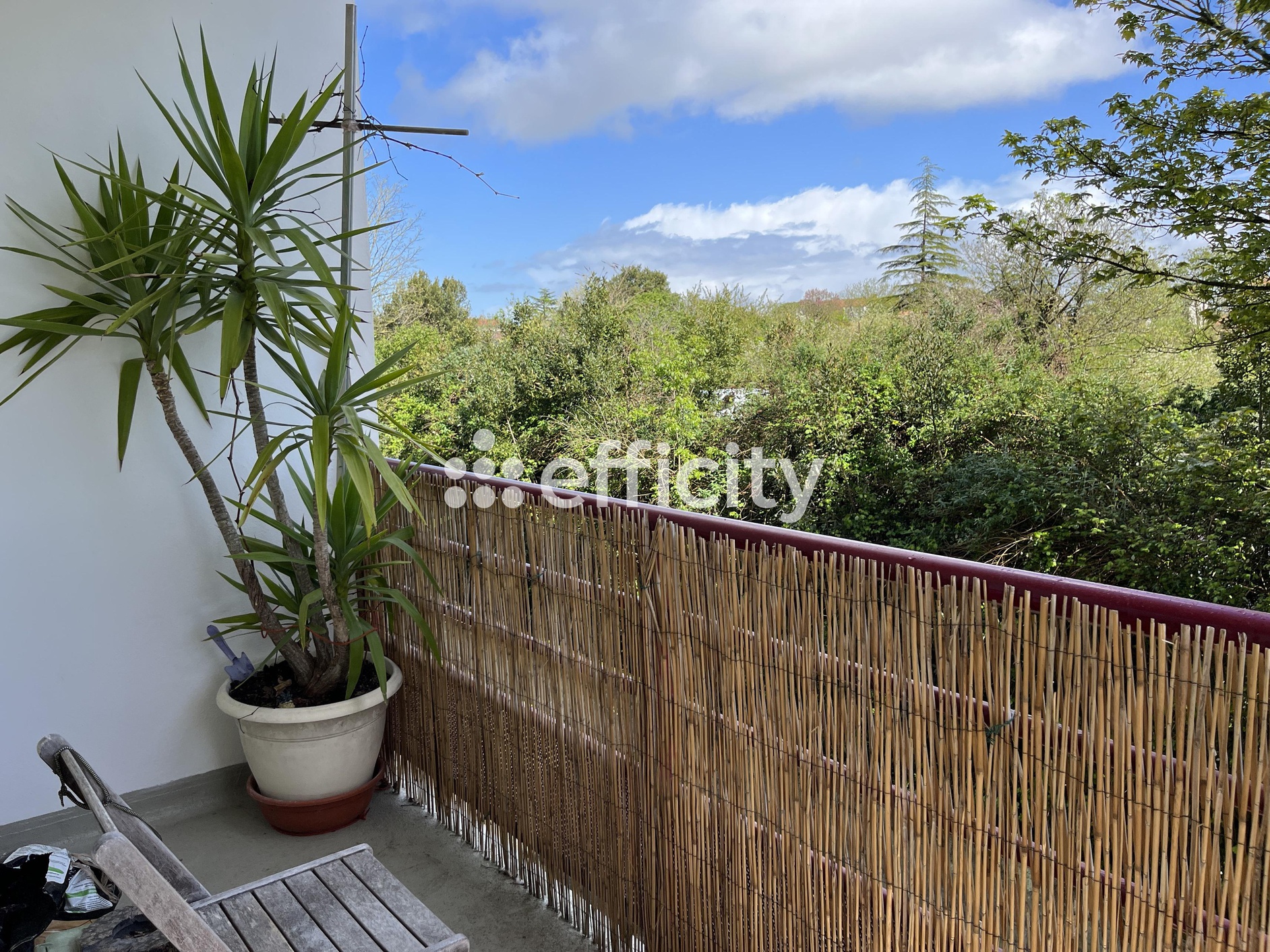 Julien Pignon | Mandataire immobilier à Niort (Deux-Sèvres) | efficity