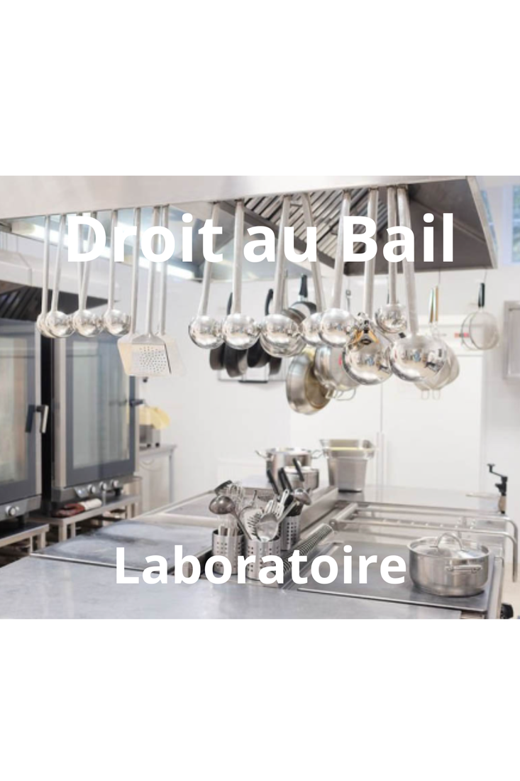 Stéphane Rambaud | Consultant immobilier à Annecy (Haute-Savoie) | efficity